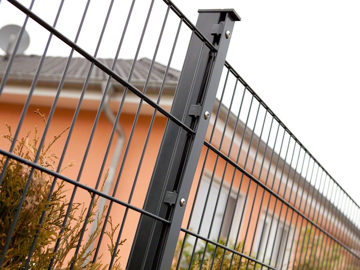 Reiner Zaun und Toranlagen